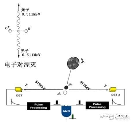 PET成像科普之PET结构探头以及符合探测 知乎