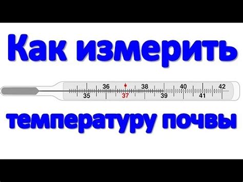Как измерить температуру почвы, если нет специального градусника ...