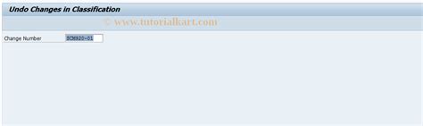 CLUNDO SAP Tcode Undo Changes CA CL Transaction Code