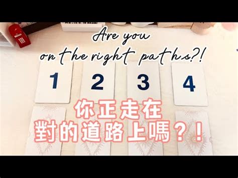 塔羅占卜你正走在 對的道路上嗎 Timeless時間限定 測占 4選1 YouTube
