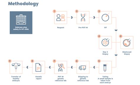 PGT M Preimplantation Genetic Testing For Monogenic Disorders