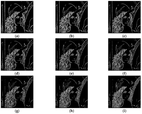 Image Edge Detection Based On Fractional Order Ant Colony Algorithm