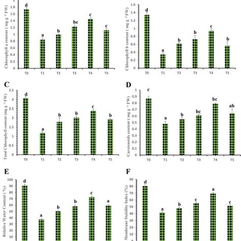 Differential Effects Of Plant Based Selenium Nanoparticles On A Download Scientific Diagram