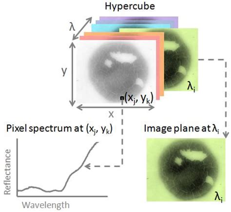 Figure From Hyperspectral Imaging For Non Contact Analysis Of