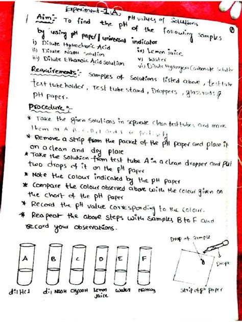 Ch 1 History Notes Class 10th Pdf