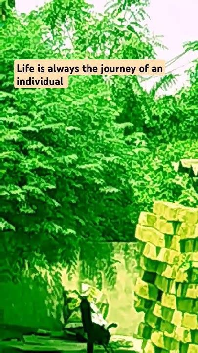 Lifes Journey Embrace The Adventure 🚀 Scodemonster Lifejourney Personalgrowth Embracelife