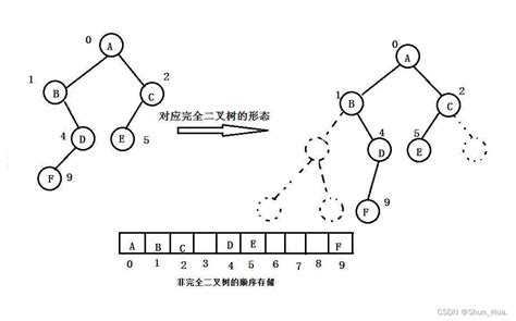 【数据结构】二叉树——顺序结构二叉树的顺序存储结构 Csdn博客