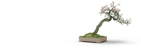 Instalod——领先的 3d 优化、工作流自动化和 Cad 到 3d 解决方案。 Instalod——领先的 3d 优化、工作流自动化和 Cad 到 3d 解决方案。