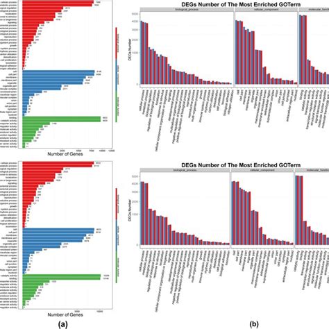 A Go Classification Of Degs The X Axis Represents The Number Of Deg