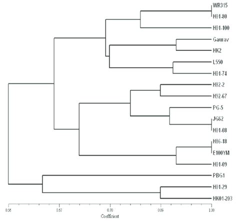 Dendrogram Generated Using Upgma With Arithmetic Average Analysis
