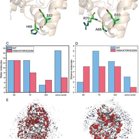 Structural And Simulation Analysis Of The Triple Mutant Protein In The