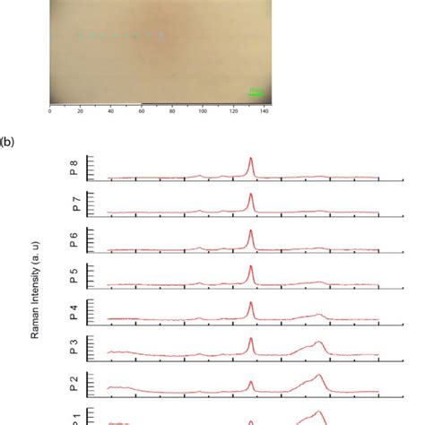 A Zoom Of The 350 650 Cm À1 Region Of The In Situ Raman Spectra