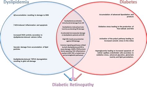 Mixed Dyslipidemia Vs Hyperlipidemia At Claire Grissom Blog