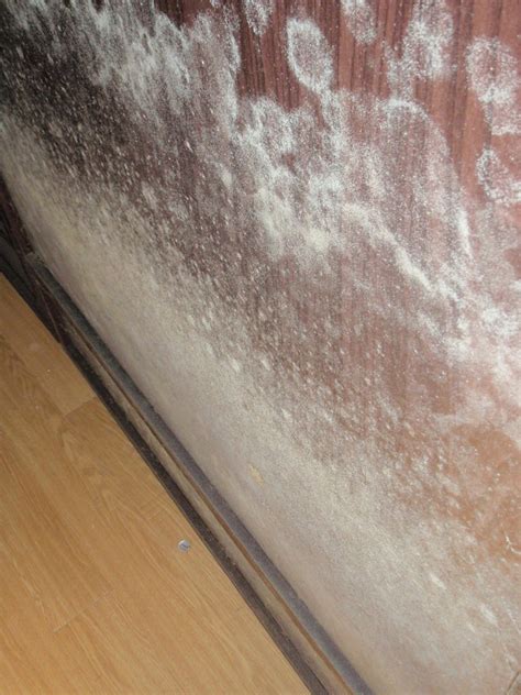 가구곰팡이 제거 사례