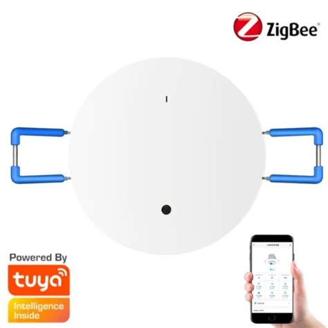 Dumyah Zigbee Pir Human Presence Sensor Light Sensor Amman Jordan