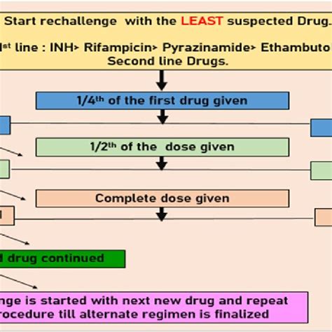 E Algorithm For Rechallenge With Att Drugs 8 Download Scientific Diagram