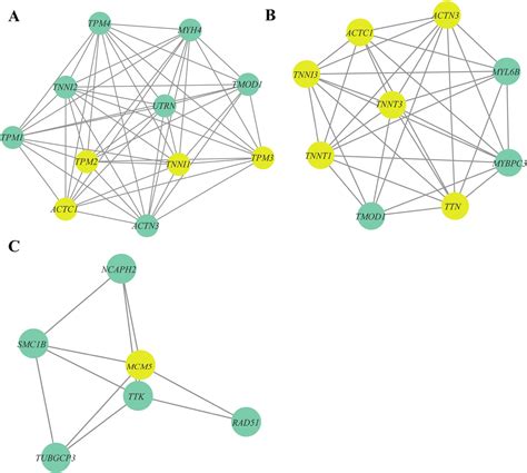 Comparative Transcriptome Profiling Across 9 Tissues In 2 Pika Species