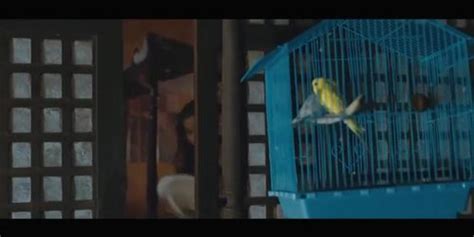 Mahjong Nights Tnaflix Com