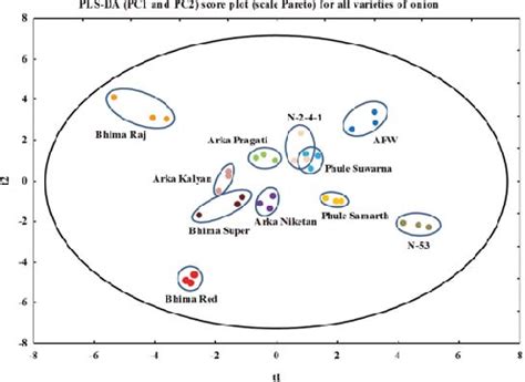 PLS DA Score Plot Differentiate The Varieties Download Scientific Diagram