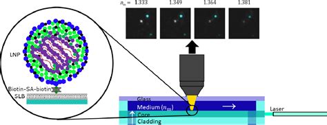 Figure 5 9 From Multiparametric Optical Characterization Of Biological Nanoparticles Using