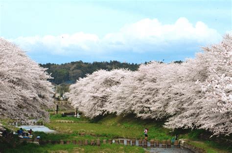 Kyoto Side