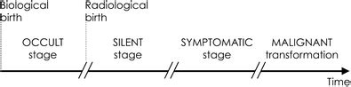 Schematic Illustration Of The Four Step Natural Course Of A Diffuse Download Scientific Diagram