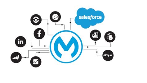 Action Earth Salesforce Implementation Partner