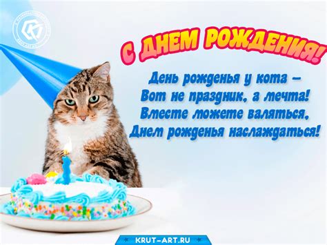 Котика с днем рождения — Бесплатные открытки и анимация