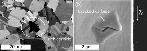 Ecci Micrographs Showing A The Deformed Microstructure Beneath The