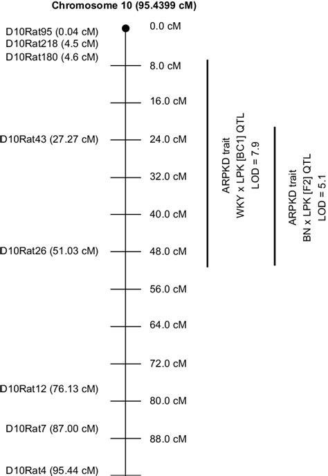 Chromosome 10 And Quantitative Trait Locus Containing The Locus That Download Scientific