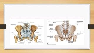 Nct G Y X Ng Ch U Bs V N Minh Pdf R T Hay Pdf