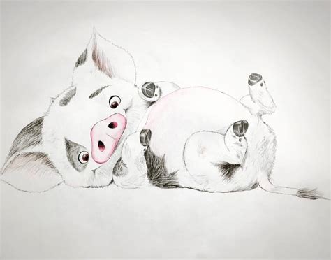 Pua From Moana Drawing 8 Likes 5 Comments Paula Morek Art And