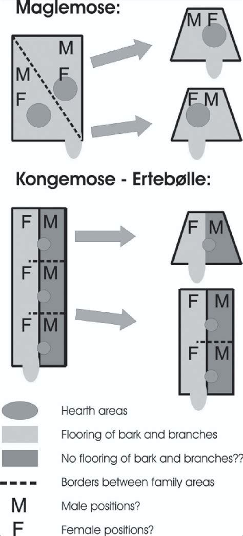 A Schematic Representation Of The Suggested Development Of The Spatial