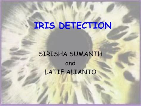 PPT IRIS DETECTION PowerPoint Presentation Free Download ID 398766