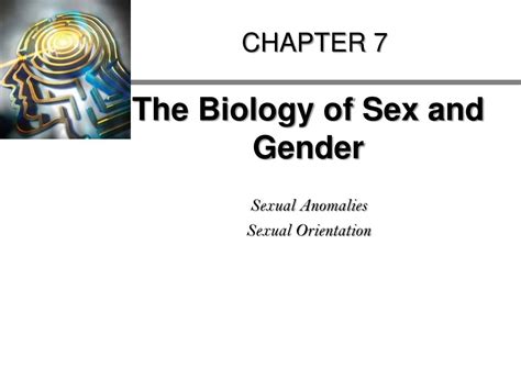 PPT CHAPTER PowerPoint Presentation Free Download ID