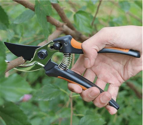 Garden Pruning Scissors Fruit Tree Pruning Shears Obstbäume Beschneiden Obstbäume Gartenschere