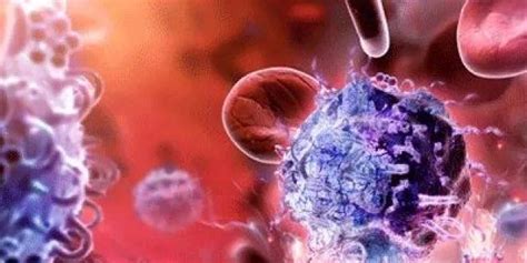 提高免疫组化染色质量的相关处理和操作 知乎