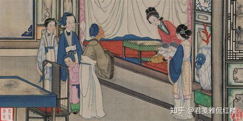红楼梦刘姥姥两进荣国府为什么每次都带着外孙板儿 知乎