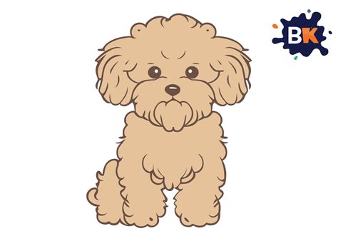 How To Draw A Cavapoo Step To Step Guide