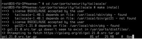 Opensense에서 Tailscale 설치 및 사용하기 Subnetrouter Exitnode