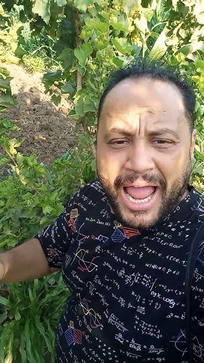 ازاي تاكل عنب وورق عنب ببلاش؟ Youtube