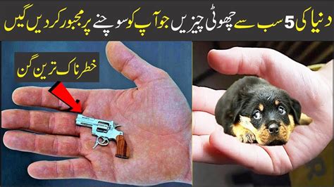 Five Smallest Things In The World Asif Ali Tv Youtube