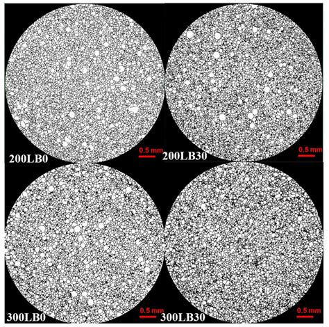 midsection microct scans after reconstruction and after watershed download scientific diagram