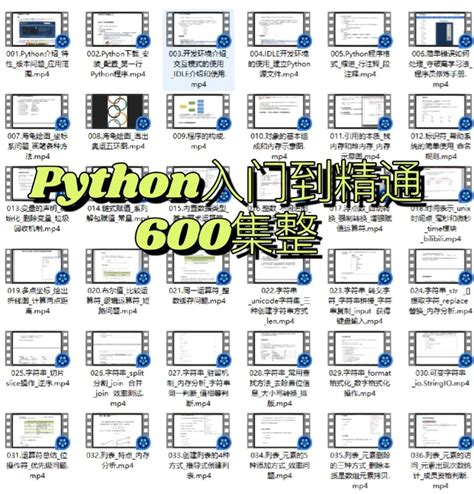 Python基础资料合集电子书 网课视频 项目实例 哔哩哔哩