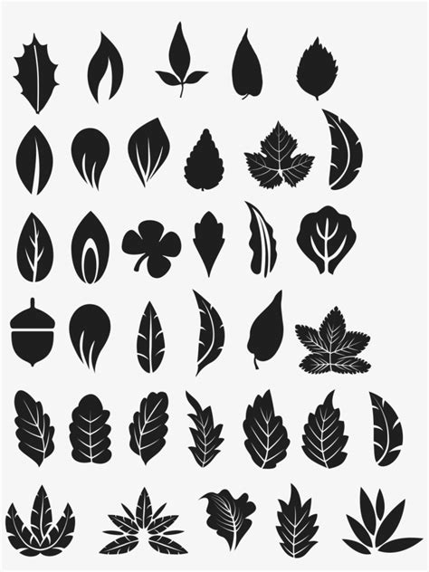 Tree Leaves Vector At Collection Of Tree Leaves Vector Free For Personal Use Tree Leaves Vector At Collection Of Tree Leaves Vector Free For Personal Use