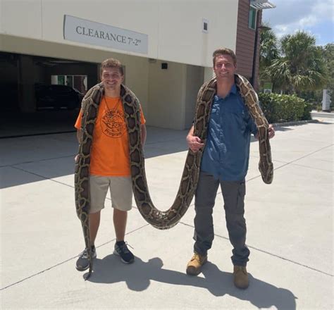 Conservancy Measures Longest Burmese Python Ever Captured Conservancy