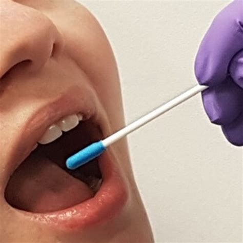 Y Chromosome Y Str Testing