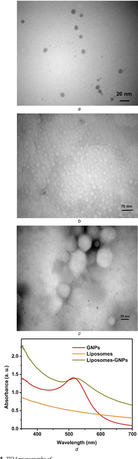 Figure 1 From Synthesis And Characterisation Of Liposomal Doxorubicin With Loaded Gold
