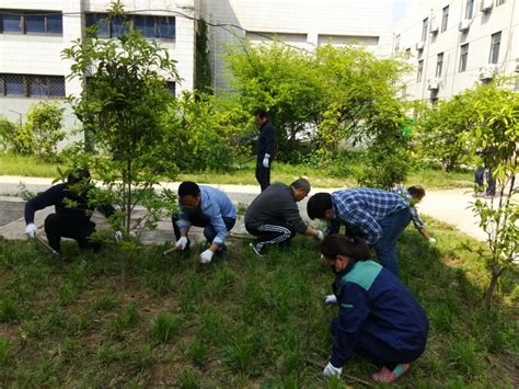 清理杂草 美化校园 淮阴师范学院后勤服务集团