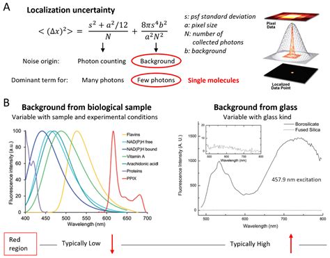 Choosing The Probe For Single Molecule Fluorescence Microscopy